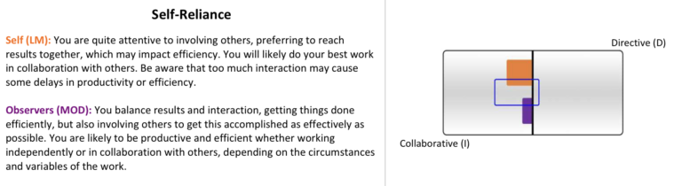 DISC 360 - The Official DISC Profile | 917-463-0089