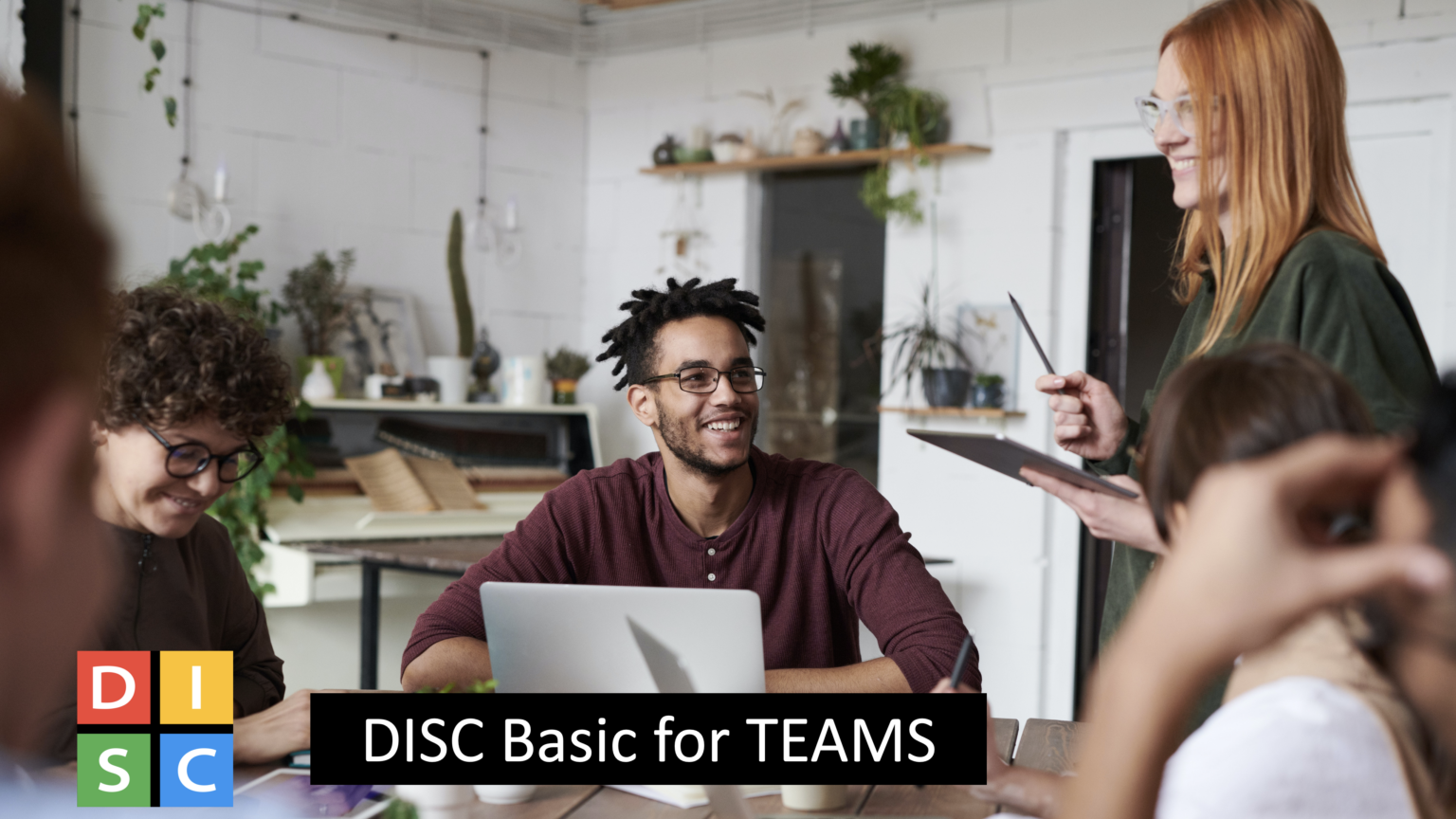 DISC Basic for Teams - Get Started Here