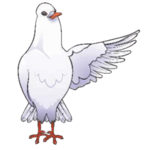 DISC Birds - The Official DISC Profile | 917-463-0089