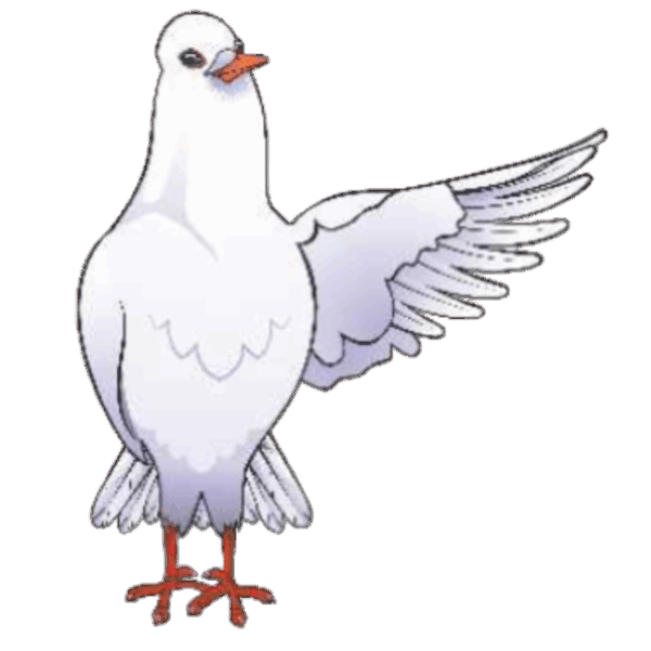 DISC Birds - The Official DISC Profile | 917-463-0089