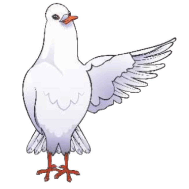 DISC Birds - The Official DISC Profile | 917-463-0089