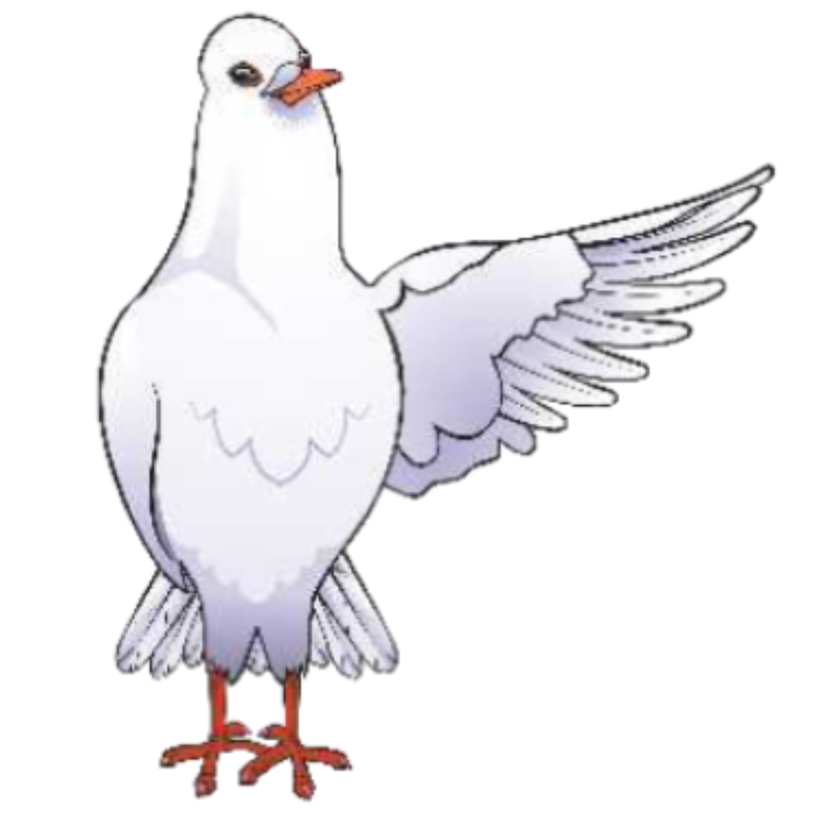 DISC Birds - The Official DISC Profile | 917-463-0089