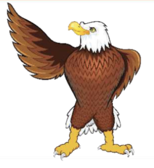 The DISC Birds Profile and Your Personality Style