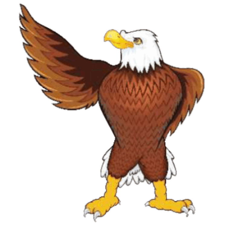 DISC Birds - The Official DISC Profile | 917-463-0089