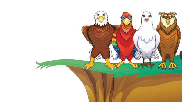 DISC Birds - The Official DISC Profile | 917-463-0089