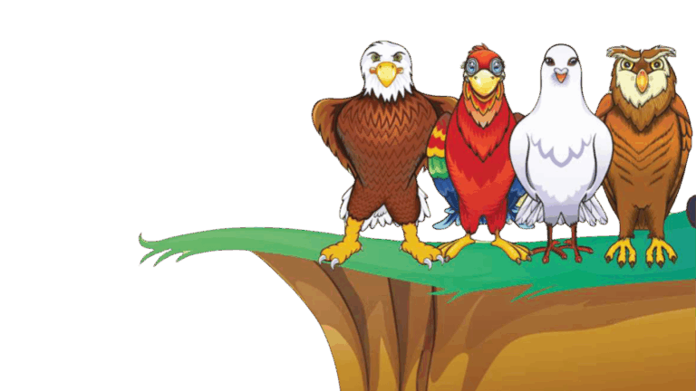 DISC Birds - The Official DISC Profile | 917-463-0089