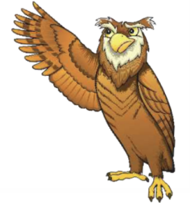 The DISC Birds Profile and Your Personality Style