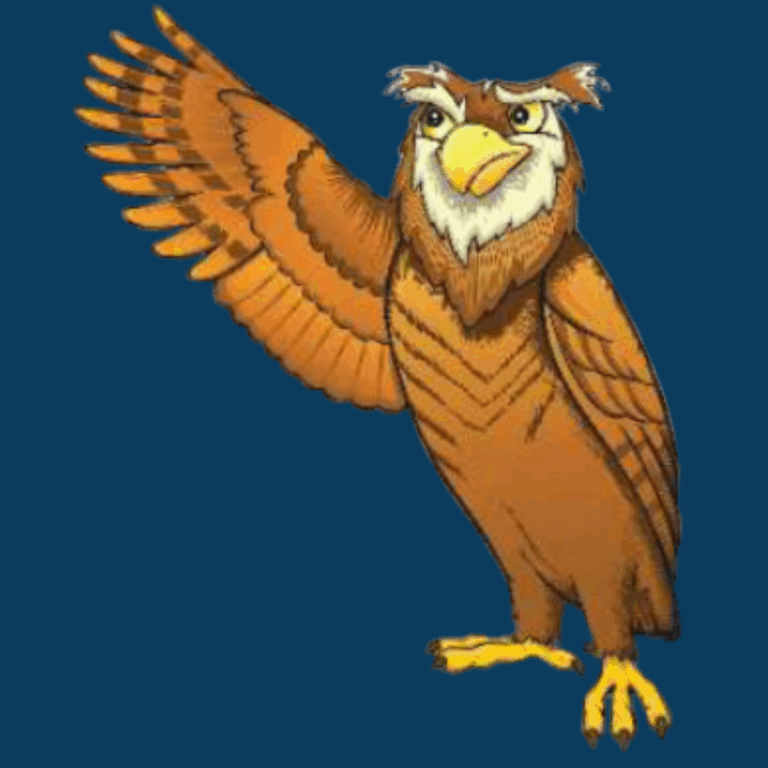 DISC Birds - The Official DISC Profile | 917-463-0089