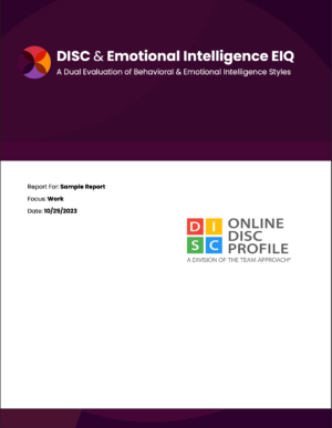 DISC Personality Test Sample Reports