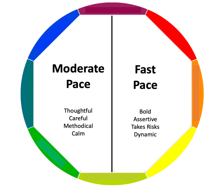 Review the Four DISC Leadership Styles
