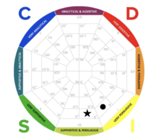 What does DISC Mean?