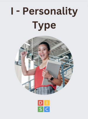 What does DISC Mean?