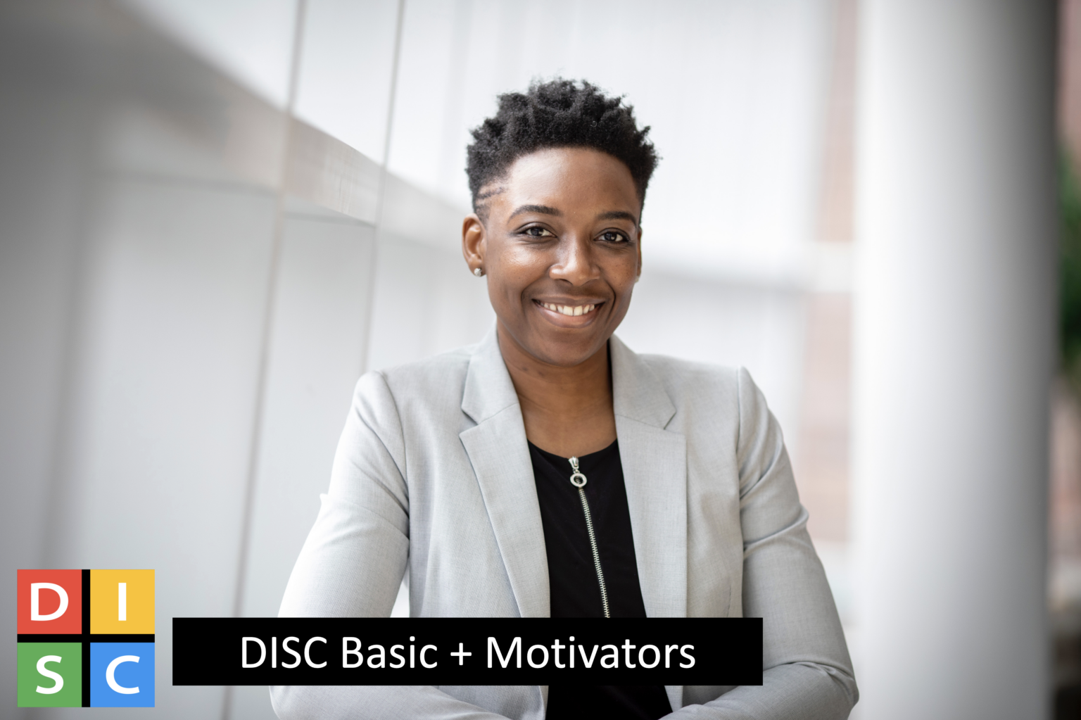 DISC + Motivators Assessment - Discover your whole personality