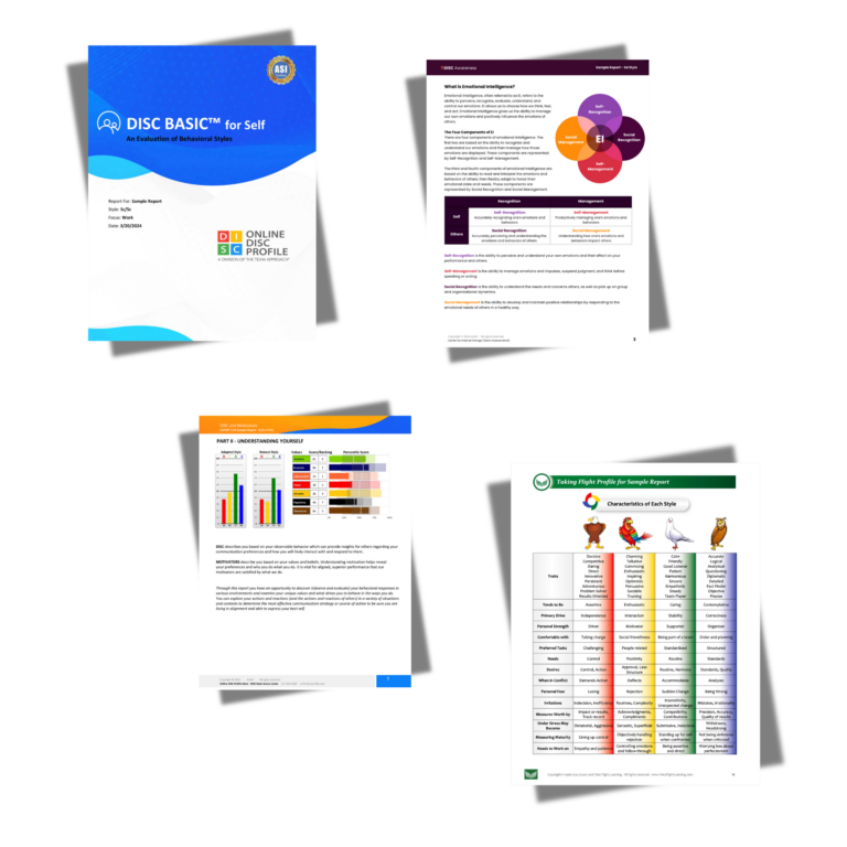 Schedule a DISC training today - $995 / 90-minute session