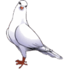 Discover your DISC birds personality type!