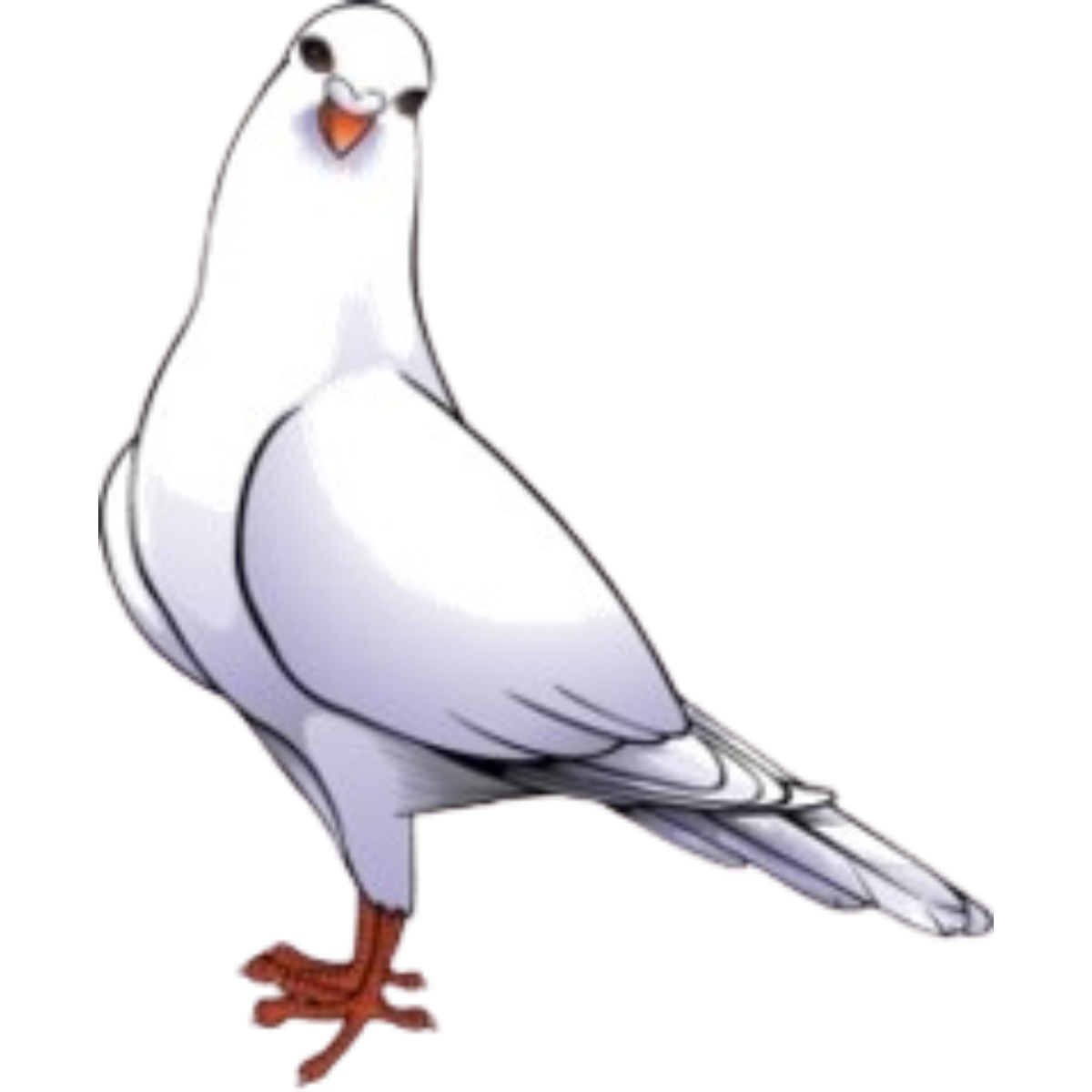 Discover your DISC birds personality type!
