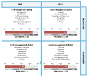 How DISC Can Help Teach Emotional Intelligence (EQ)