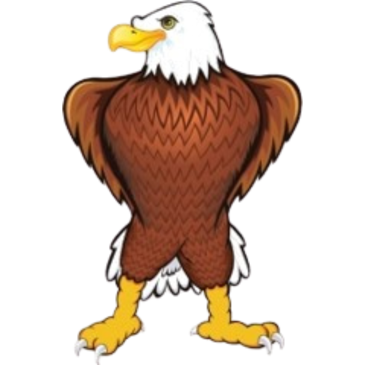 DISC Birds - The Official DISC Profile | 917-463-0089