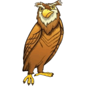 DISC Birds - The Official DISC Profile | 917-463-0089