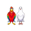Discover your DISC birds personality type!