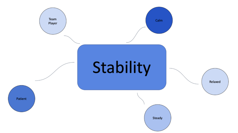 Understanding the Steadiness DISC Type