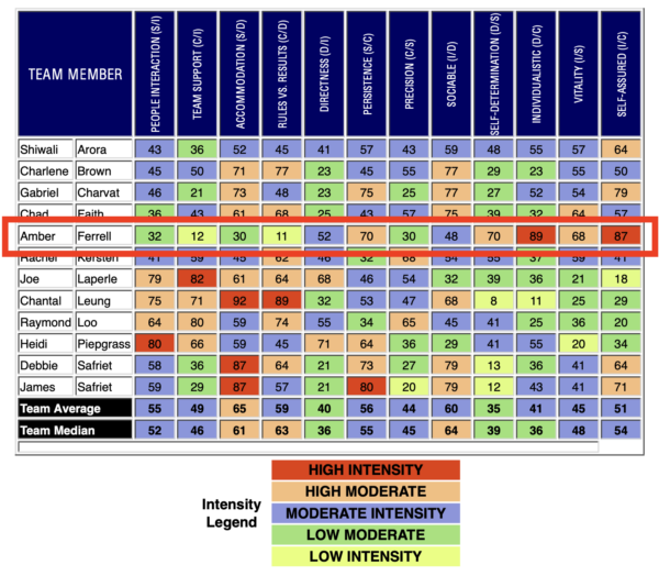 DISC Basic for Teams - Get Started Here