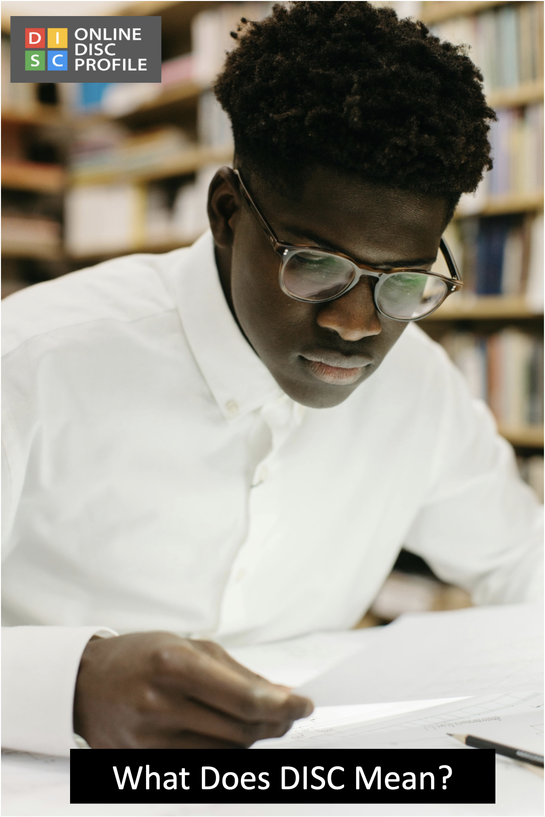 What does DISC Mean?