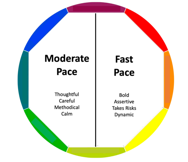 What is DISC? Gain Insights Into Your Natural Behaviors